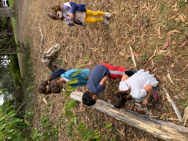 Forest School Class for Preschoolers