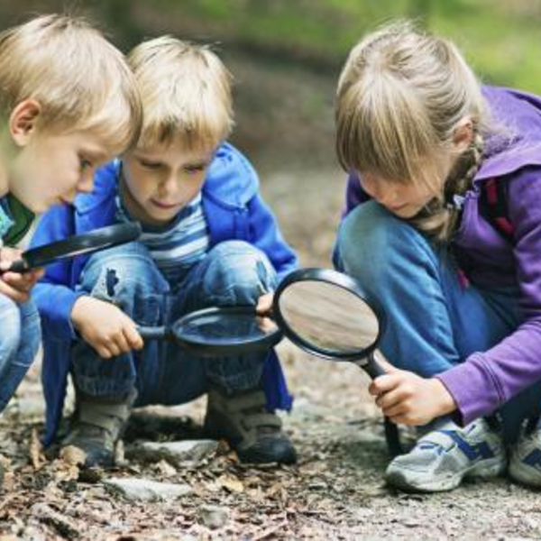 NEW: Outdoor Explorers