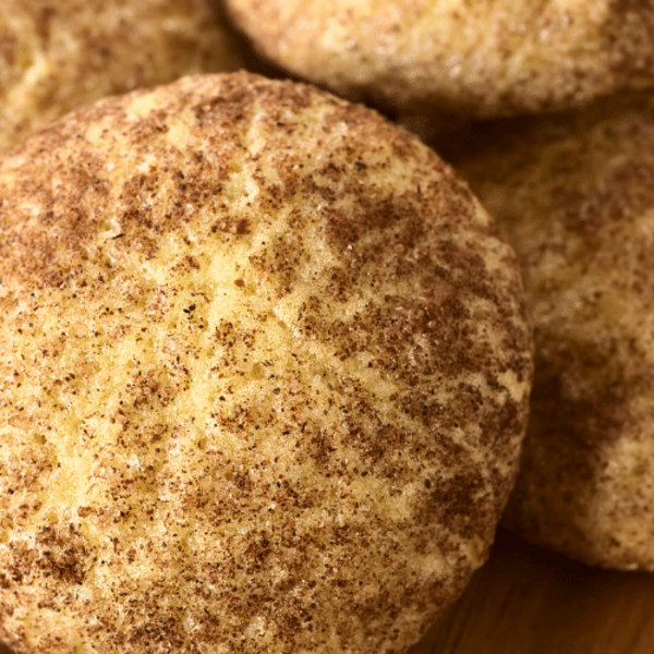 KIDS Summer FAV Workshop