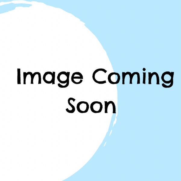 Advanced Art Lessons