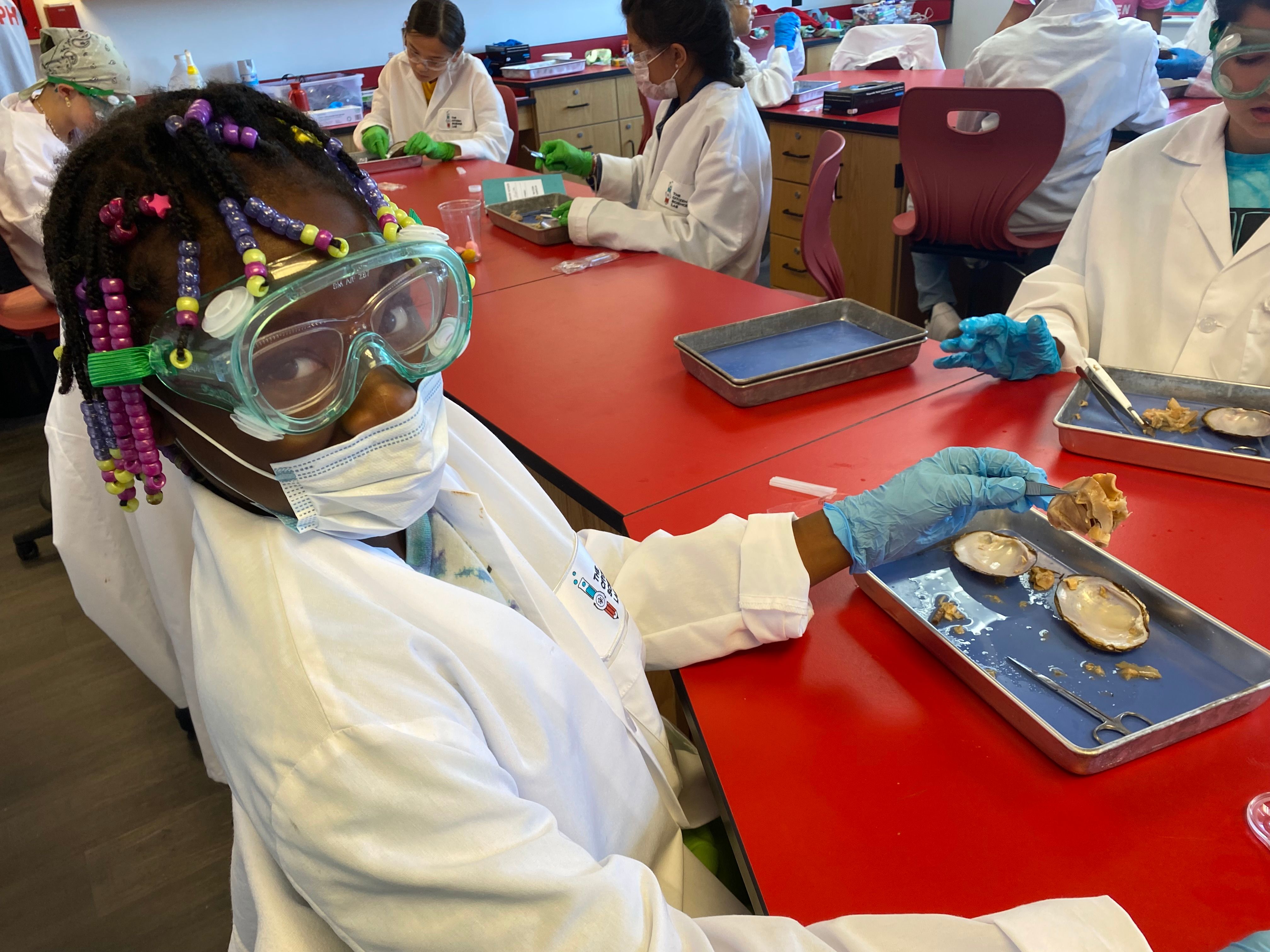 Summer Camp: Phylum and Dissect-Em’ (Dissection)