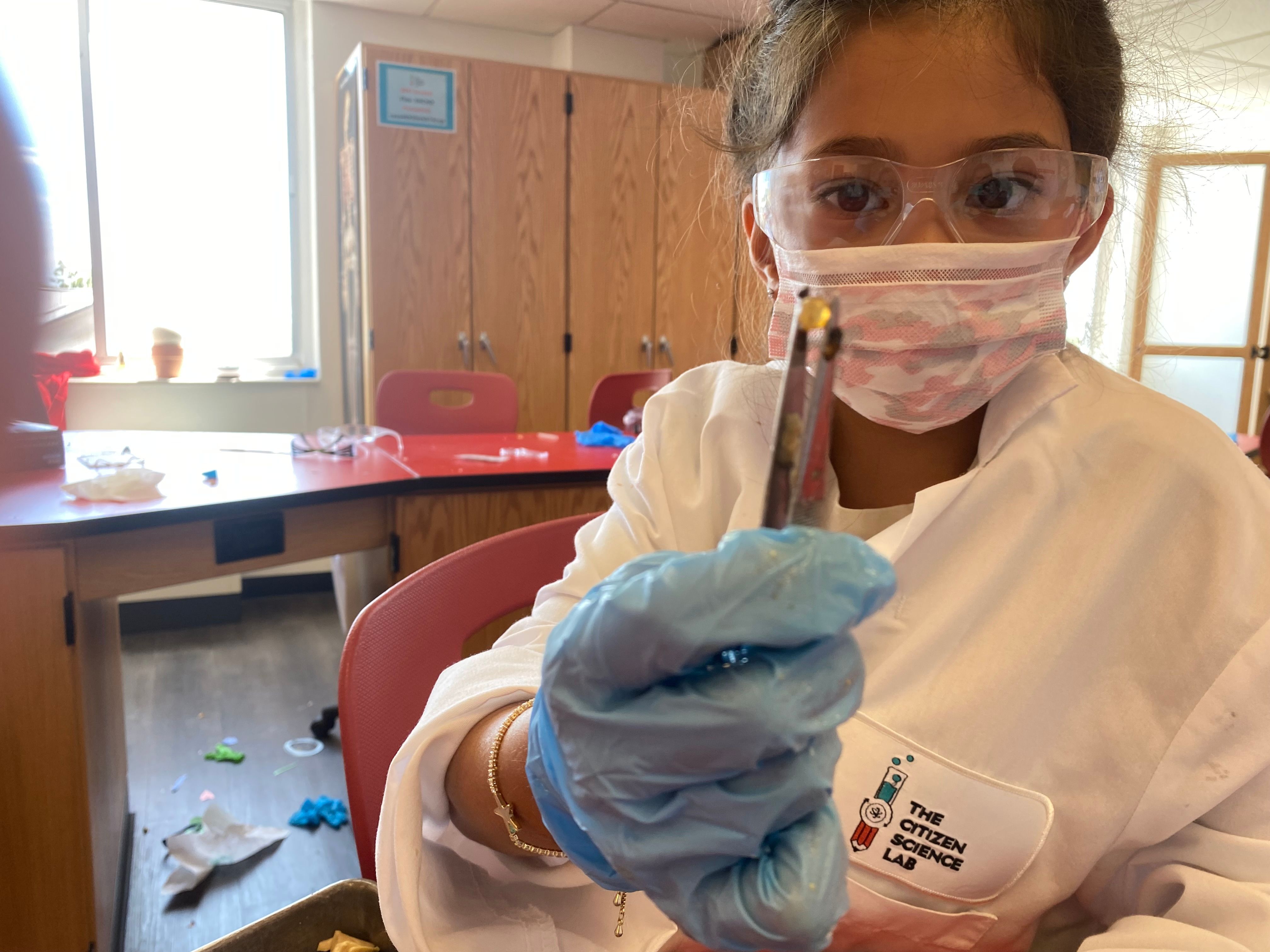 Summer Camp: Phylum and Dissect-Em’ (Dissection)