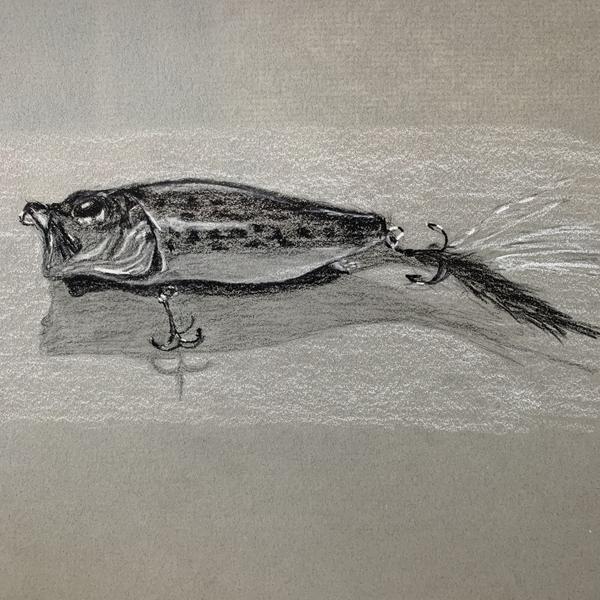 SL Beginning Realistic Drawing ages 10+