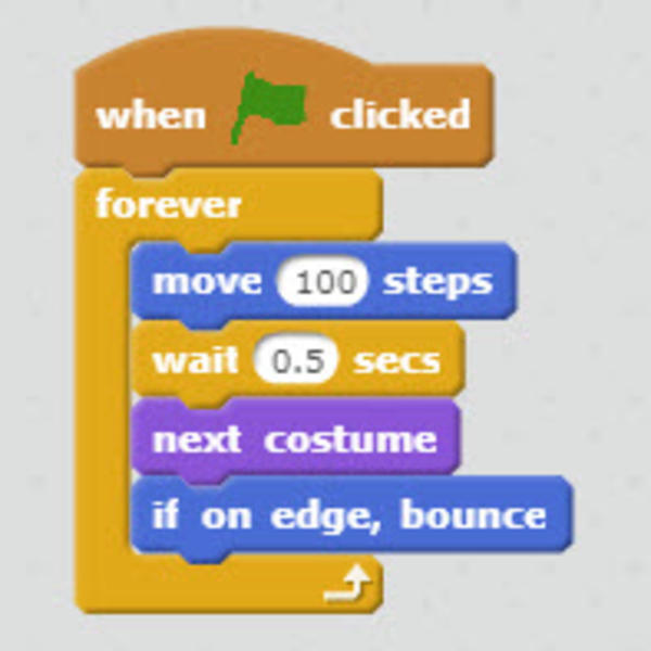 SCINT2101 Introduction to Scratch Coding