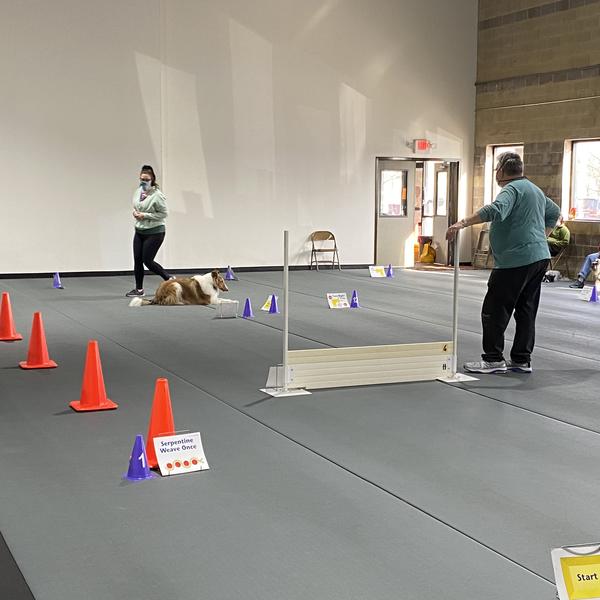 Intro to Rally Obedience