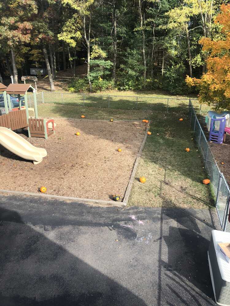 Widdle Ones Childcare - Daycare in Schenectady, NY - Care.com