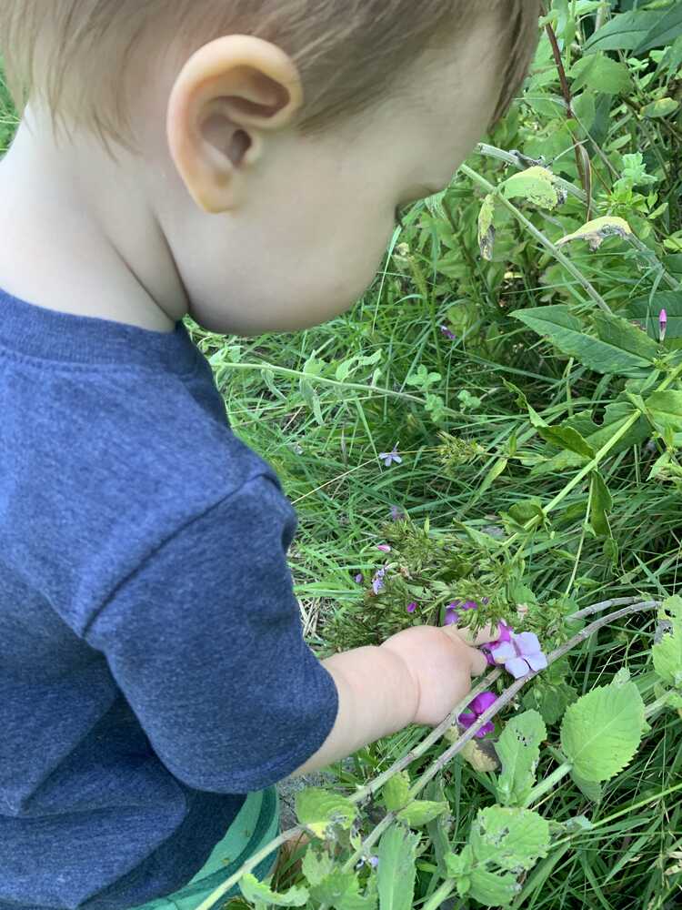 Wild Garden Of Childhood - Daycare in Florence, MA - Care.com