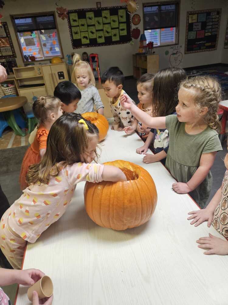 Sonshine Learning Center - Daycare in Renton, WA - Care.com