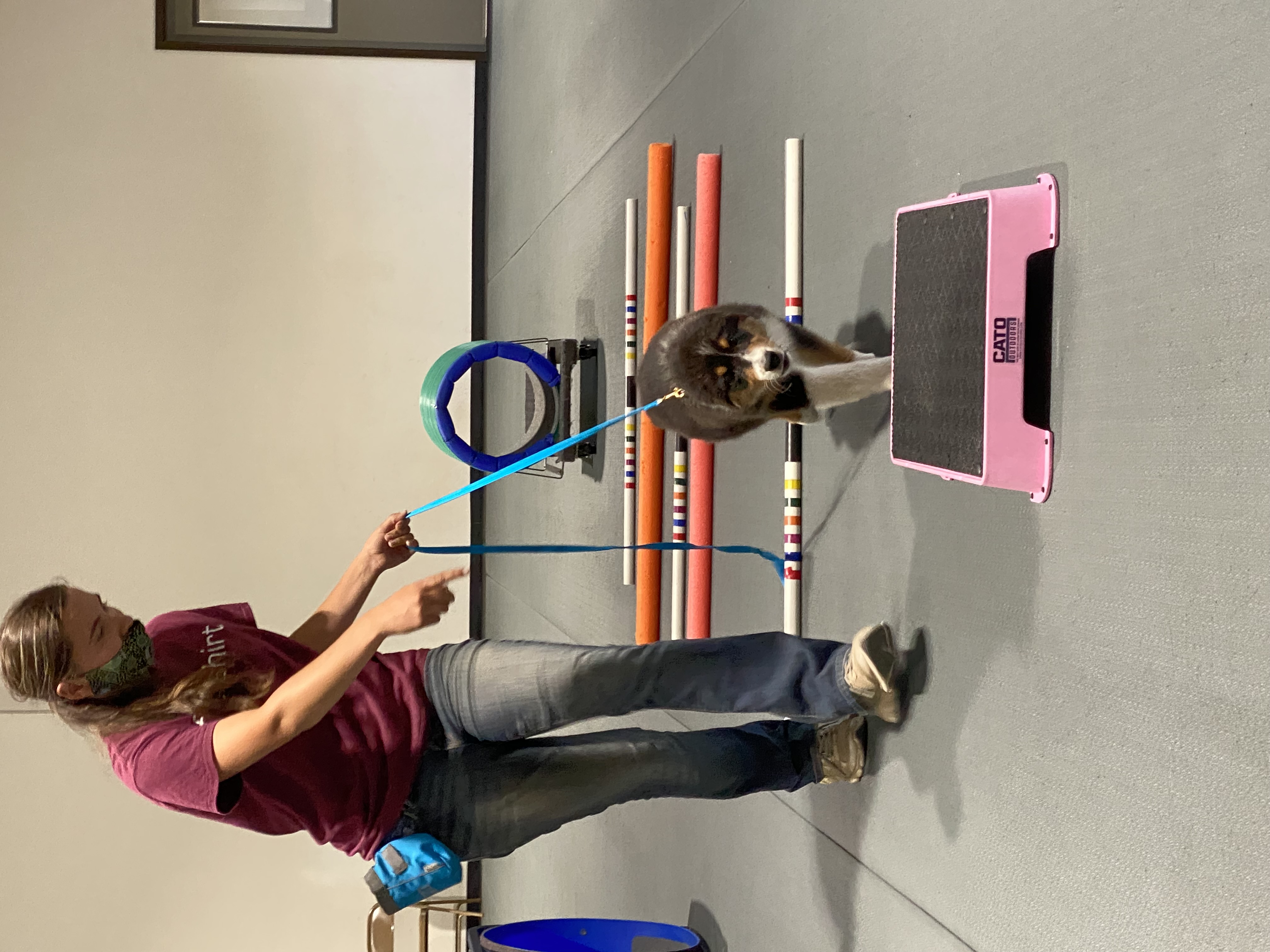 Doggy Gym Doggy Gym